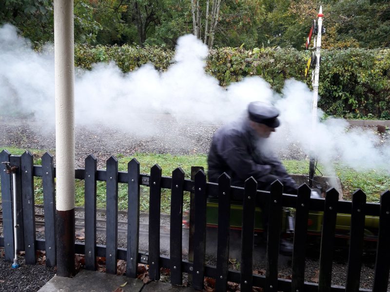 Model trains in the heart of Heath Park - alt.cardiff